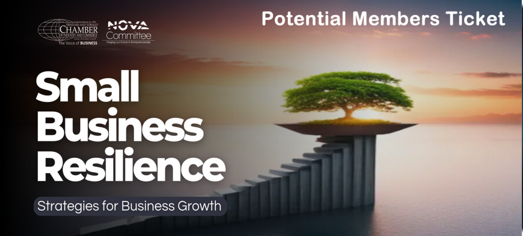 Potential Member Ticket Small Business Resilience – Strategies for ...